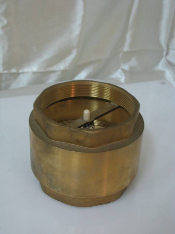 Check Valve Spring Type | Devsons Industries Ltd - Safety & Tools